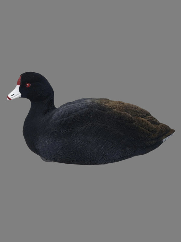 SX Floater Coot Duck Decoy - SX Decoys