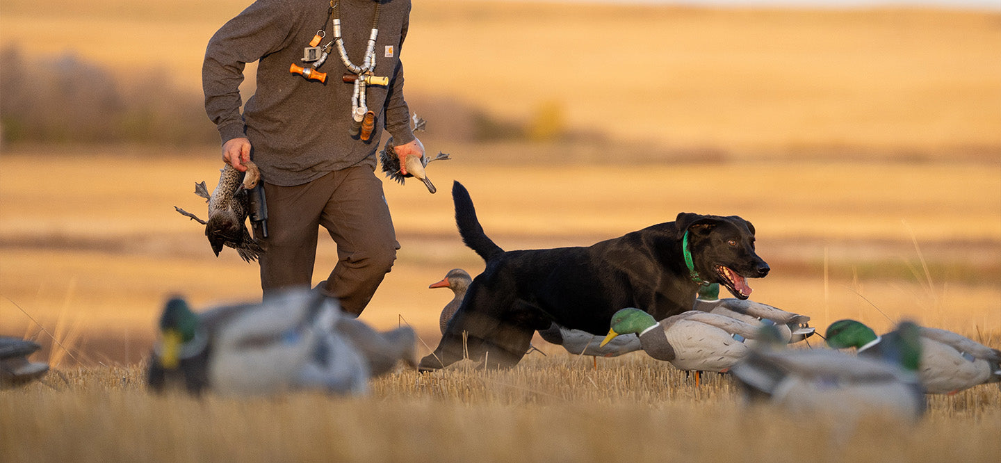 SX Decoys - Canada, Speck, Snow Goose, Crane, & Turkey Decoys