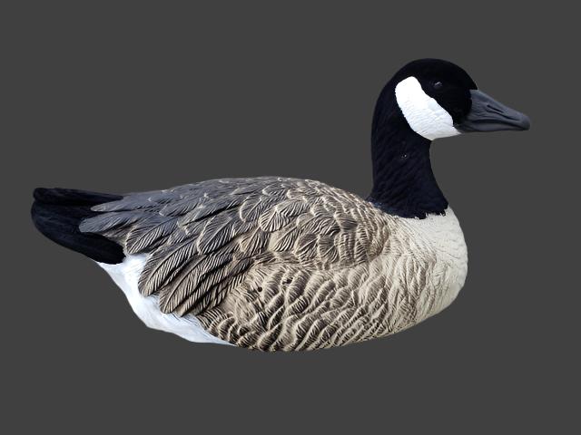Goose Decoys - SX Decoys